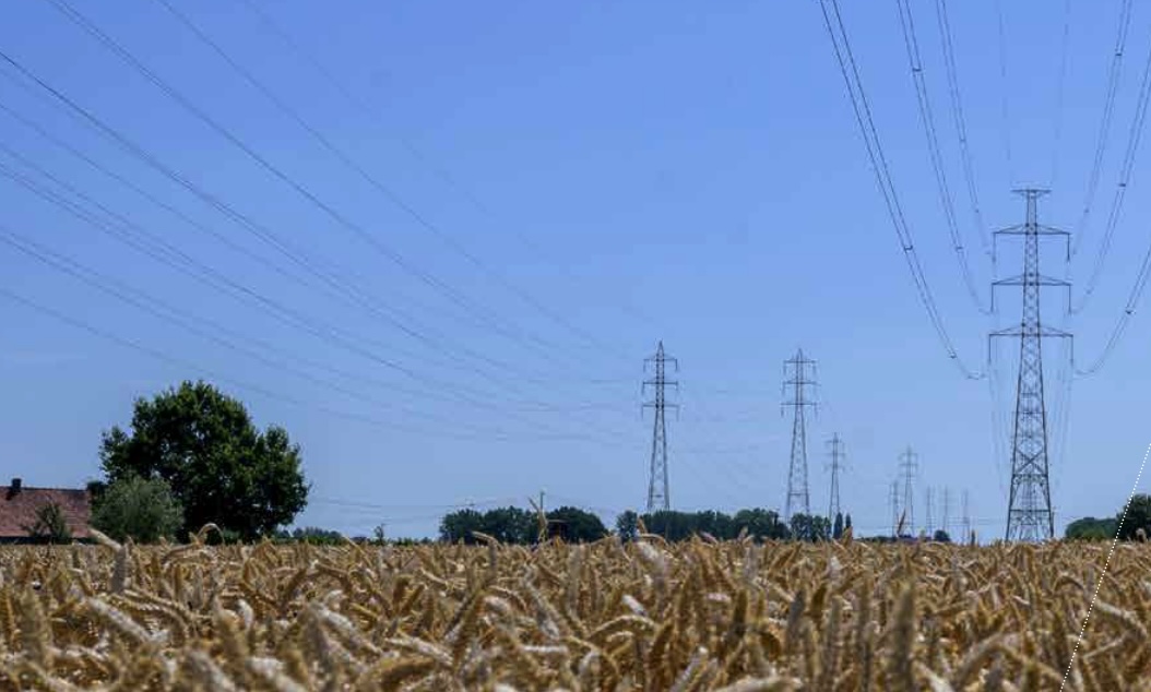 Elia CEO warns for gigawatts of electricity shortages beyond 2035 ...